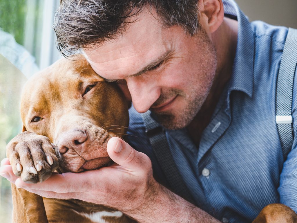 5 Reasons You Should Adopt a Shelter Dog - Humane Society Of Macomb