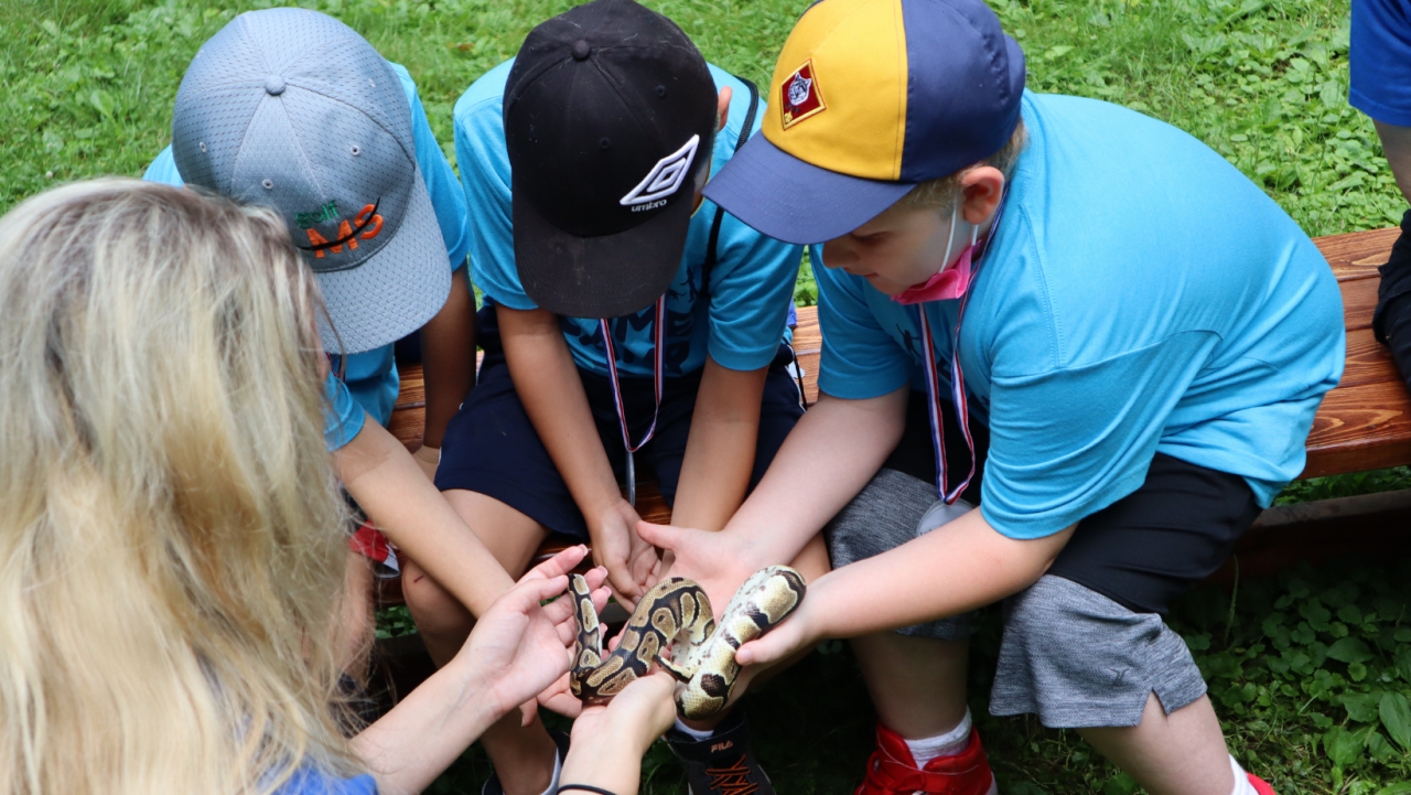 Summer Camp: Are You Excited Yet? - Humane Society Of Macomb