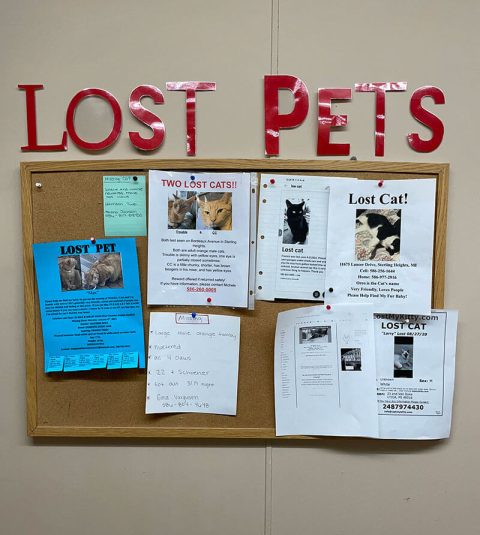 Lost Pet Resources & Pet Surrender - Humane Society of Macomb
