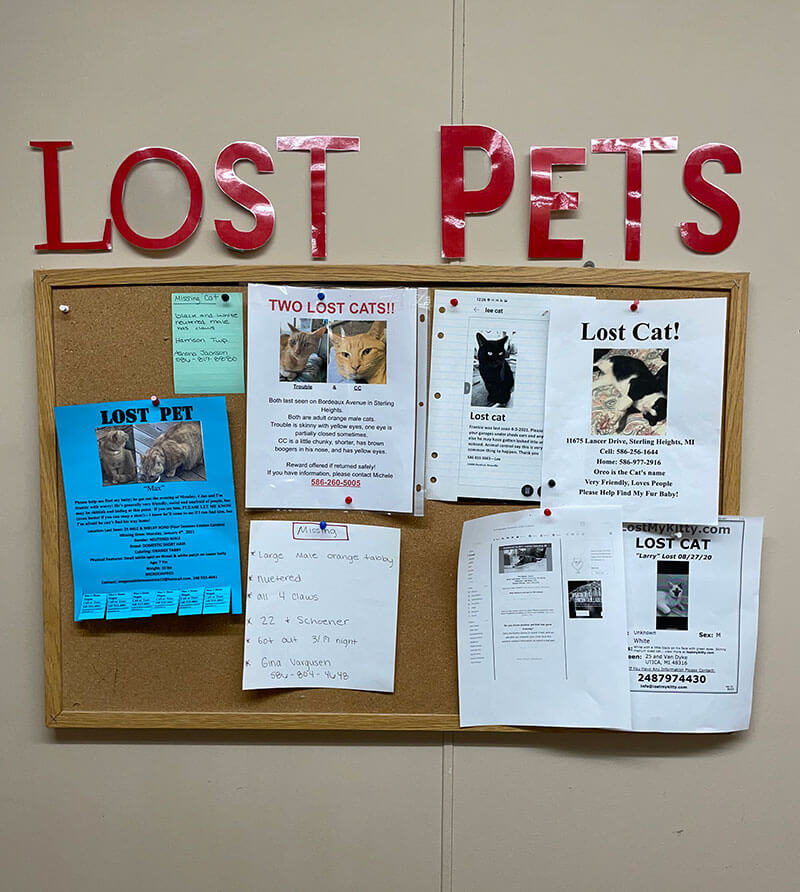 Lost Pet Resources & Pet Surrender - Humane Society of Macomb
